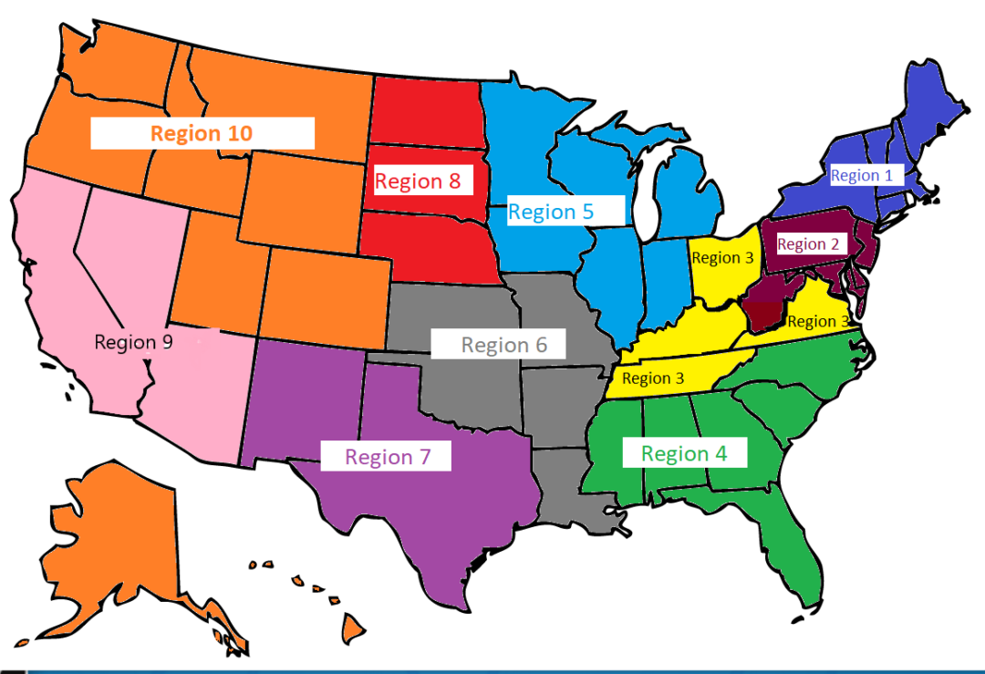 Adopt a Mastiff | Rescued Mastiffs